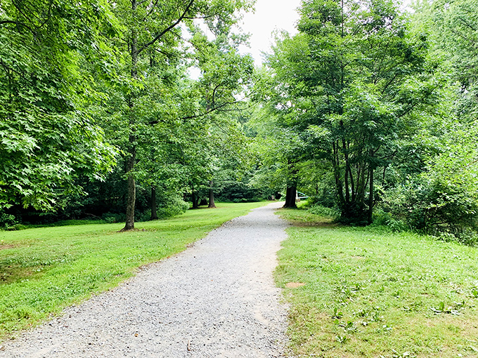 Rittenhouse Park's trails wind through nature's own stress-relief therapy, no appointment necessary.