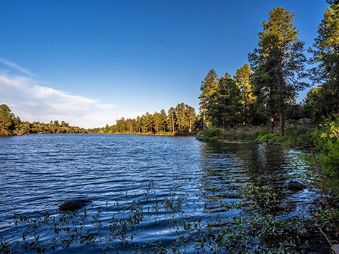 Tranquility you can't put a price tag on. Nearby lakes offer Snowflake residents peaceful retreats just minutes from their affordable homes.