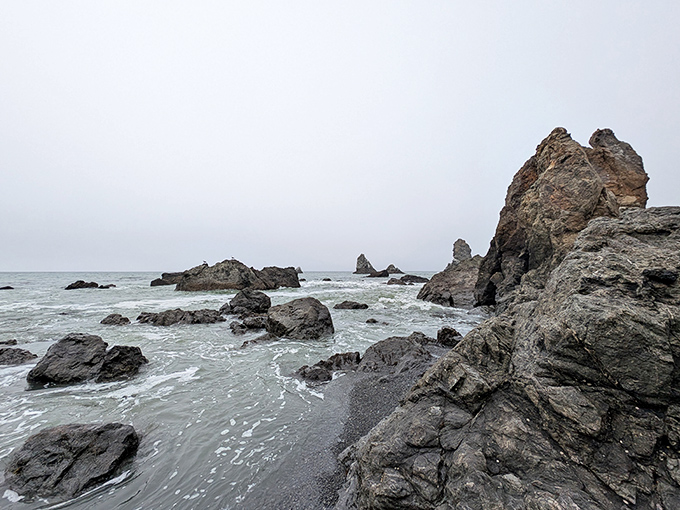 Rocky coastline where waves meet ancient stones in an endless conversation that's been happening since dinosaurs roamed.