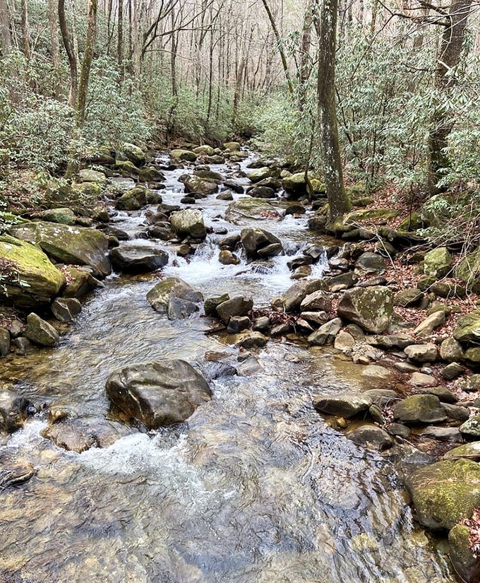 The Middle Saluda River &ndash; where rocks have been playing the same soothing water music for thousands of years.