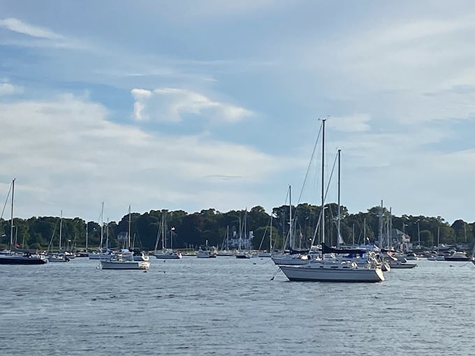 Bristol Harbor's flotilla of sailboats creates a postcard-worthy scene. Each vessel represents someone's escape from the ordinary into Rhode Island's maritime playground.
