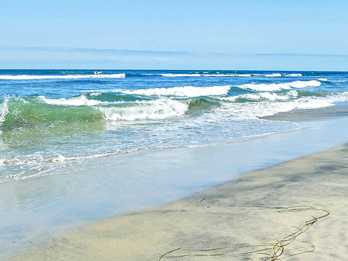 The ocean writes love letters in the sand, then gently erases them with each wave &ndash; Terramar's daily poetry in motion.