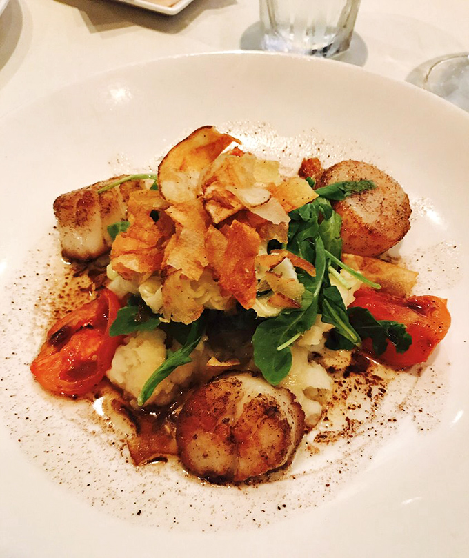 Seared scallops arranged like culinary artwork, proving that steakhouses can handle seafood with the same precision as beef.