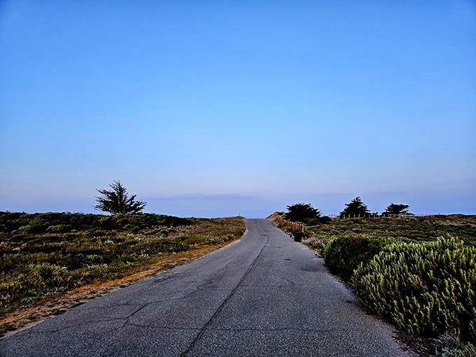 The road to tranquility is paved with... well, actual pavement. This scenic pathway invites contemplative strolls without the crowds of more famous coastal routes.