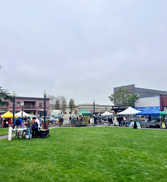 The Plaza transforms into a vibrant marketplace where locals gather to shop, chat, and demonstrate that community never goes out of style.