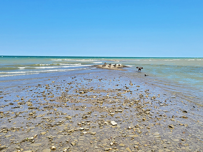 Not your typical sandy beach, but these Lake Erie shores tell ancient geological stories through every perfectly tumbled stone.