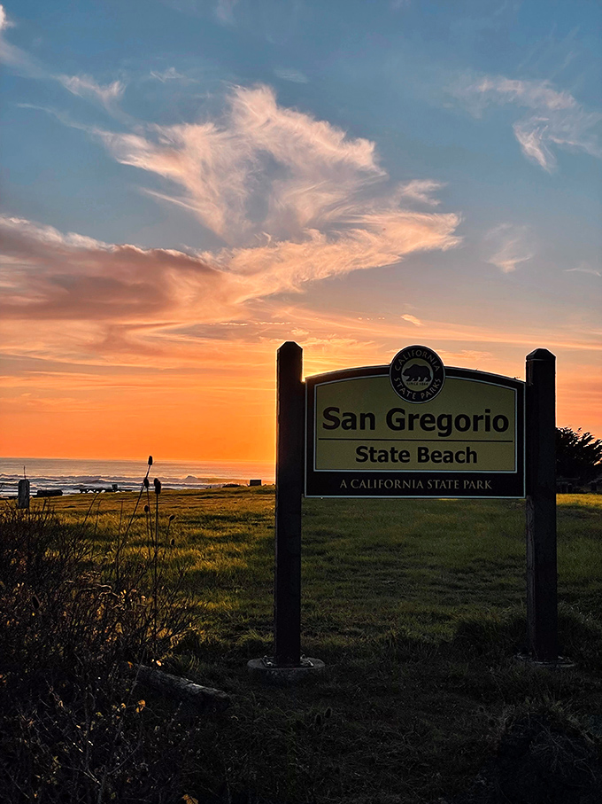 Even the entrance sign gets the benefit of nature's lighting department—sunset transforms ordinary park signage into Instagram gold.