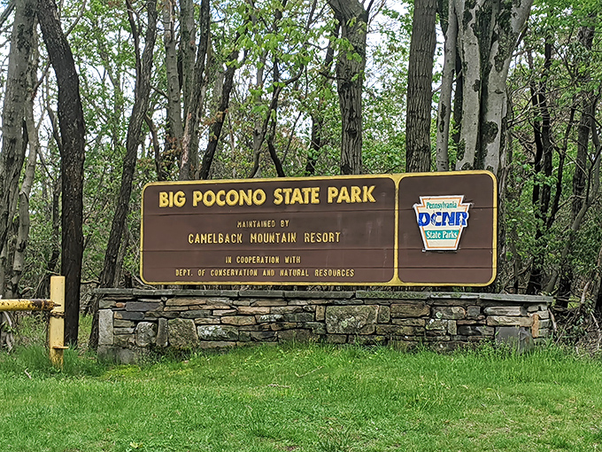 The entrance sign promises adventure while the stone foundation suggests permanence. Some places are simply worth preserving for generations.