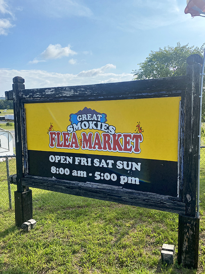 The weathered wooden sign stands as a sentinel at the property's edge, announcing weekend hours like a promise of adventure.