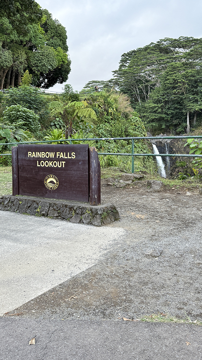 Rainbow Falls Lookout: where the signage is almost as photogenic as what you came to see in the first place.