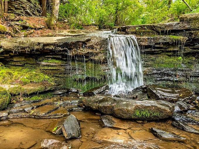 Water finds its path of least resistance, creating this gentle cascade that sounds like nature's own meditation app. 