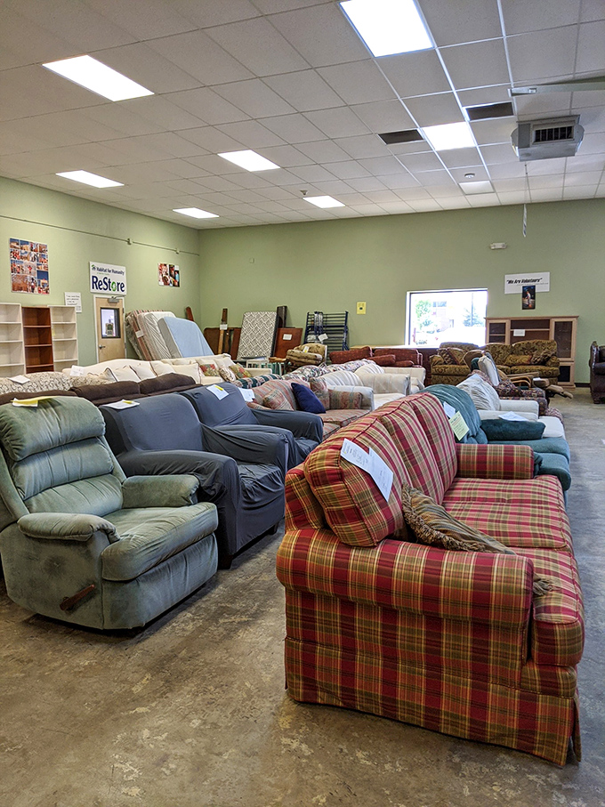 The couch collection resembles a living room lineup, from grandma-chic florals to that plaid number that screams "1990s sitcom dad."
