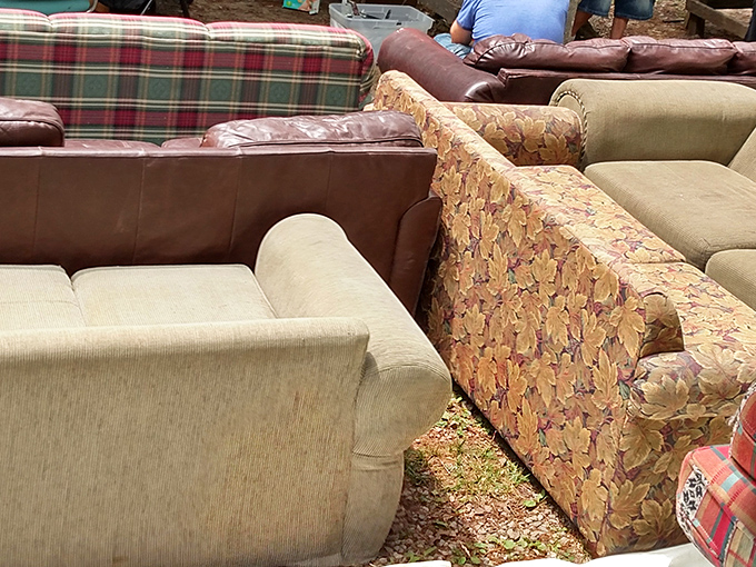 The sofa selection&mdash;where mid-century meets mid-life crisis. That floral pattern couch has hosted everything from first dates to family Thanksgivings.