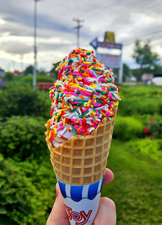 Ice cream with sprinkles that would make your dentist wince and your inner child applaud&mdash;proof that happiness can still be purchased for the price of a cone.