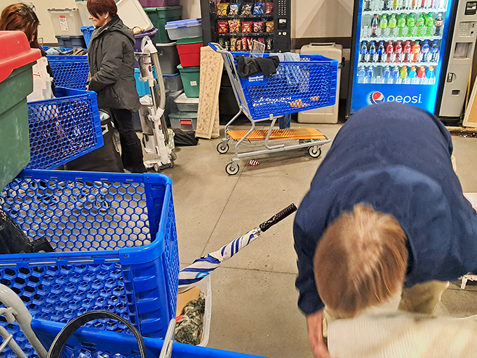 Shopping carts lined up like eager racehorses at the starting gate, ready to be filled with unexpected finds.