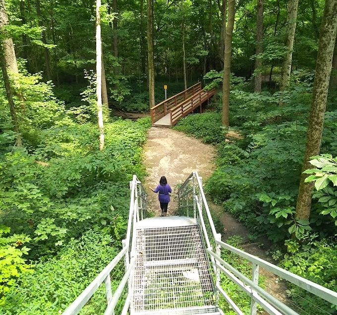 Starkey Nature Park's metal staircase leads adventurers down to trails where cell service fades and conversation flourishes.