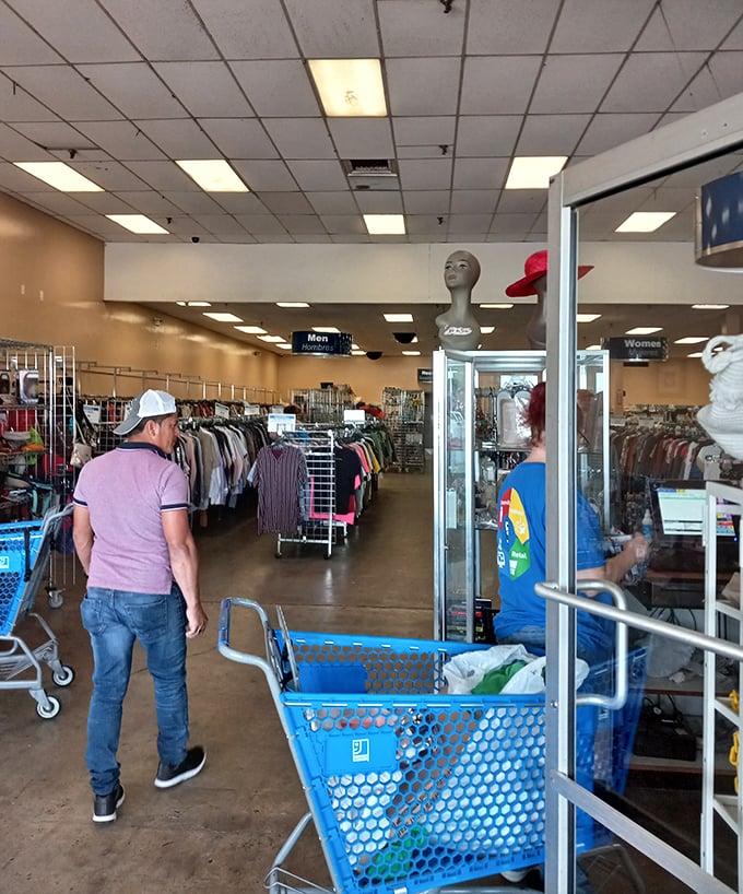 Step inside and witness the retail choreography of blue carts and neatly arranged racks &ndash; a thrift store that defies the chaotic stereotype.