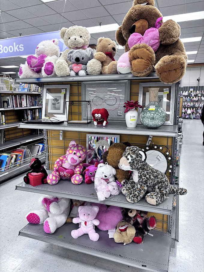 Stuffed animal adoption center where pre-loved teddy bears hope for cuddles in their forever homes.