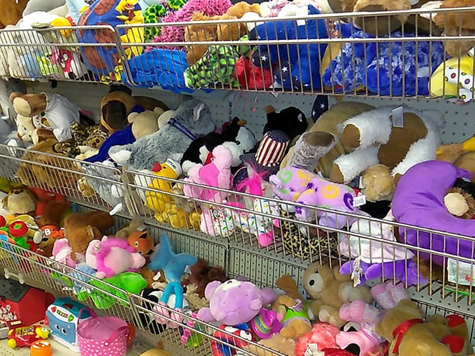 Stuffed animals gaze hopefully from their wire enclosures, a plush adoption center where childhood companions await second chances.