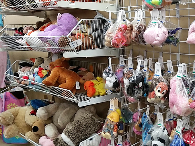 Stuffed animal adoption center where plush companions wait patiently for their forever homes and new adventures.