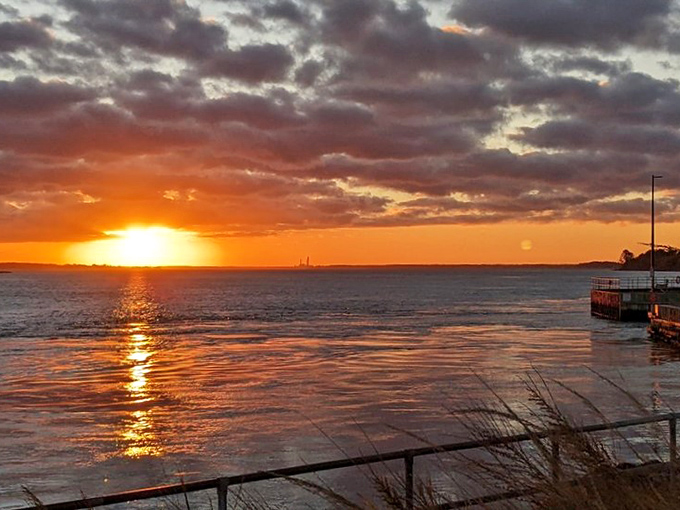 Sunsets here paint the sky in colors that make professional photographers weep with joy and frustration simultaneously.