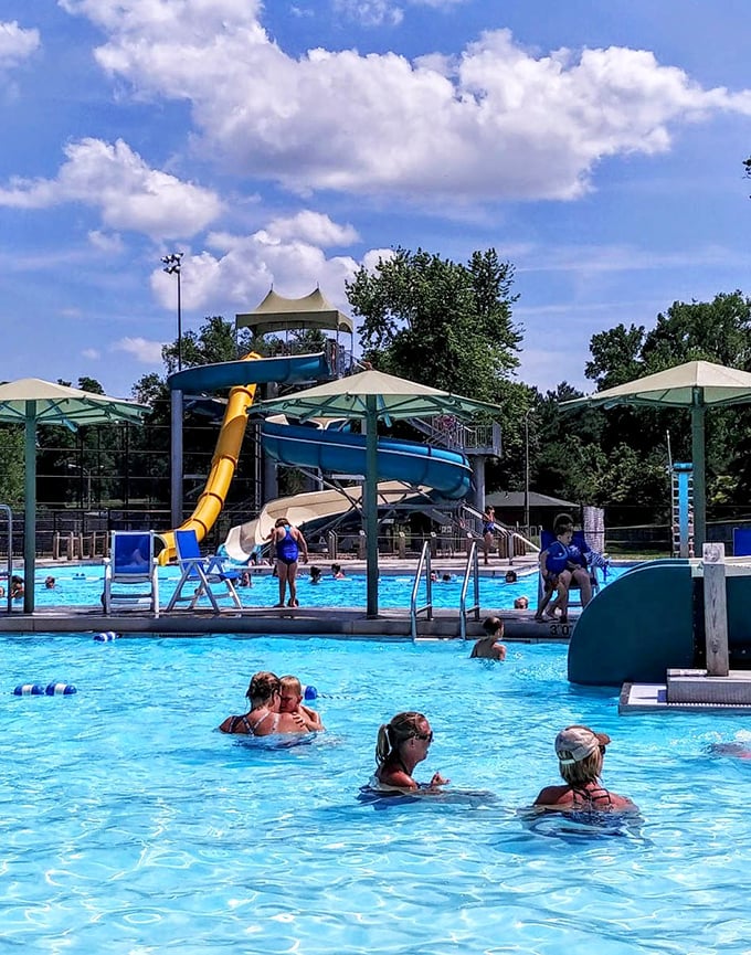 Summer days at Steinhart Park pool mean waterslides, splashing, and memories being made one cannonball at a time.