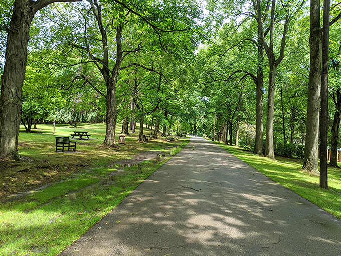 Thompson Park offers that perfect blend of manicured paths and natural woodland &ndash; where exercise feels less like a chore and more like a scenic adventure.