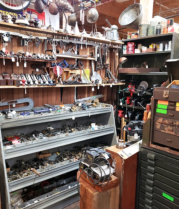A tool collector's paradise where vintage wrenches, hand drills, and measuring devices tell stories of craftsmanship from a pre-digital age.