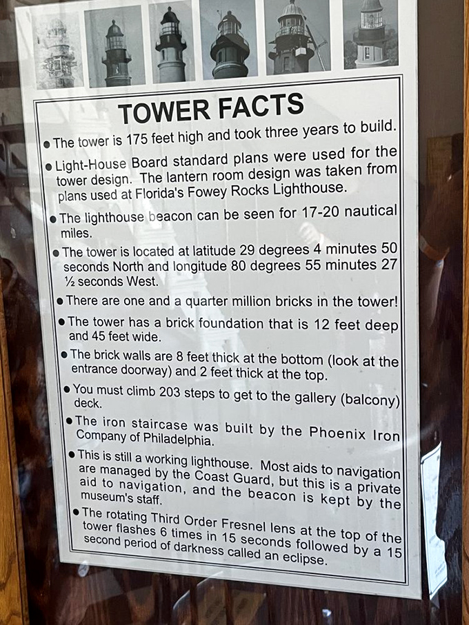 The facts don't lie—this tower contains over a million bricks! That's enough to build a path to your car when you realize you've forgotten your sunscreen.