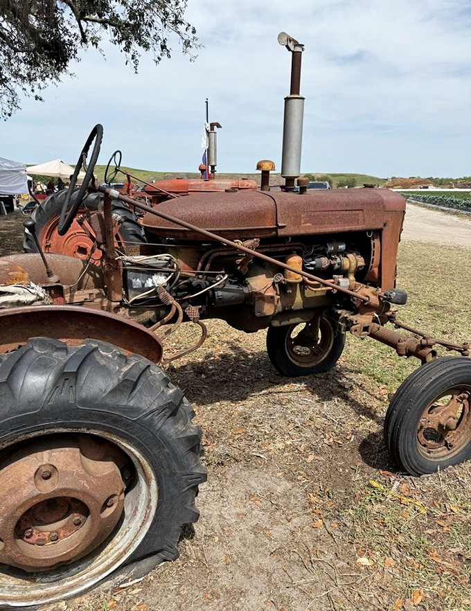 This weathered tractor isn't just farm equipment – it's a time machine to when food production was simpler, slower, and somehow sweeter.