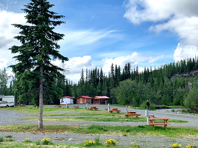 Picnic tables waiting for stories. This campground clearing offers the perfect stage for travelers to exchange tall tales under Alaska's endless summer sky.