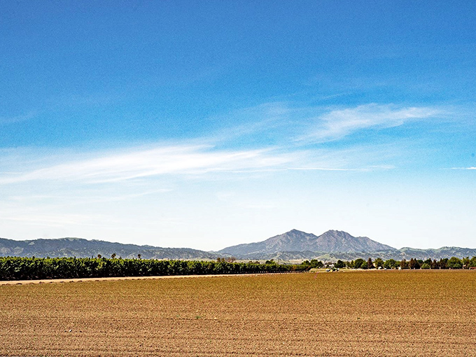 California's agricultural heartland stretches toward distant mountains&mdash;a landscape that feeds millions yet remains humbly beautiful.