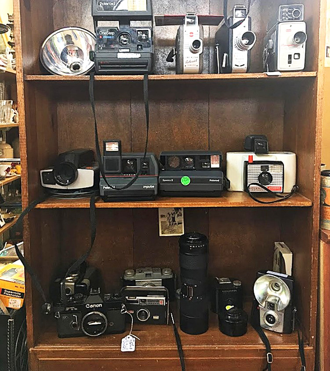 Vintage cameras that captured someone's wedding day now wait patiently for collectors or hipsters seeking authentic Instagram filters.