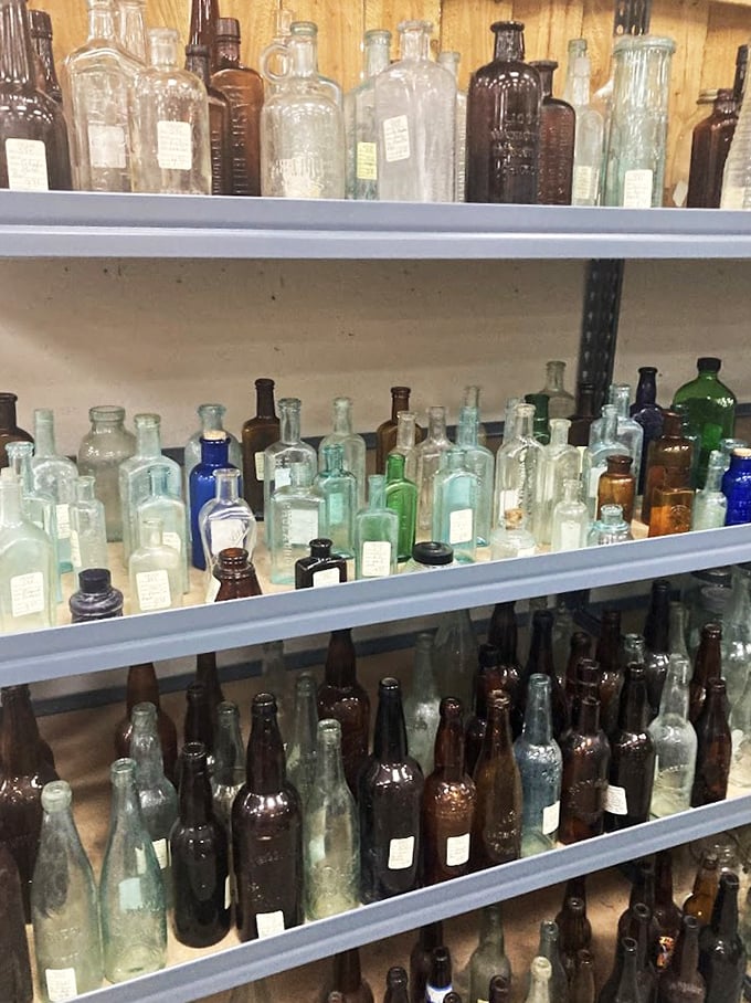 A bottle collector's dream display&mdash;these vintage vessels tell stories of bygone eras while waiting to become someone's conversation piece.