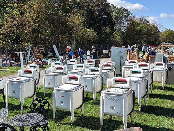 Wringer washing machines standing at attention like soldiers from a simpler time. Grandma's biceps weren't just from kneading bread!