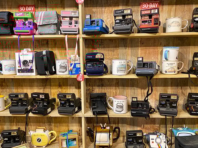 The Polaroid shrine! These vintage cameras don't just capture images&mdash;they capture moments in that magical, instantly-gratifying way digital just can't match.