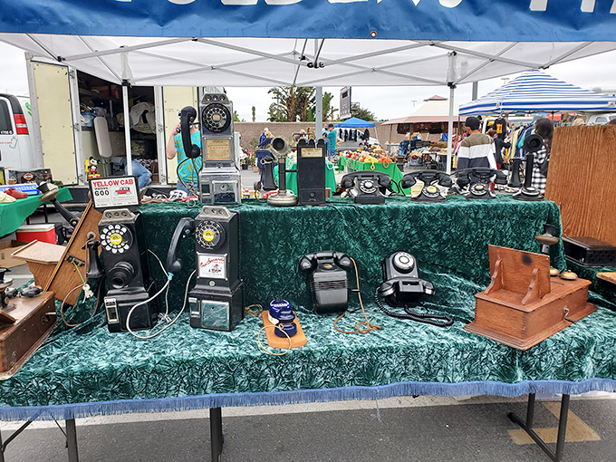 Hello? The past is calling! These rotary phones once connected families across America, now waiting to become statement pieces in modern homes.