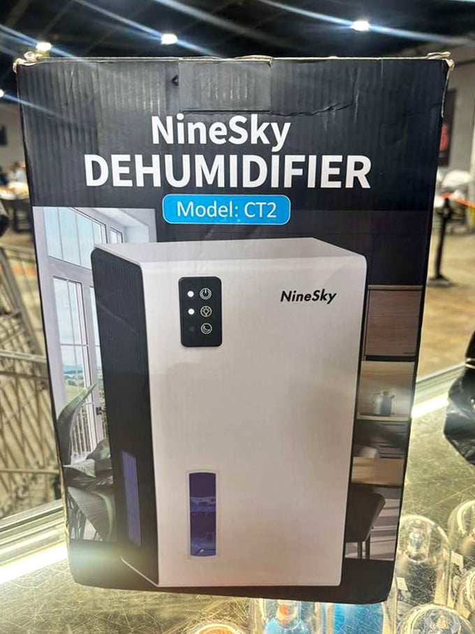 Louisiana humidity doesn't stand a chance against this sleek dehumidifier &ndash; neither does its price tag.