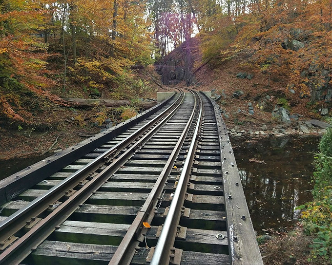 Beyond the bridge lies another historic treasure&mdash;the Wilmington & Western Railroad cuts through autumn splendor, adding another layer to your Delaware adventure.