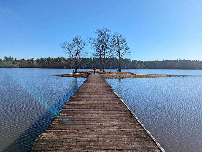 The wooden boardwalk stretches toward possibility, inviting contemplation with every step. Some paths are meant to be savored, not rushed.