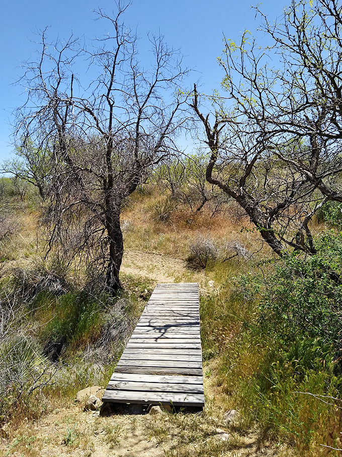 A wooden boardwalk that's practically begging you to practice your runway walk while connecting with nature.