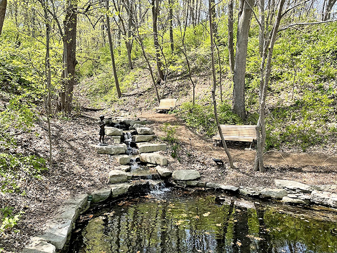 A woodland stream meanders through native Nebraska landscape, proving paradise doesn't require a passport.