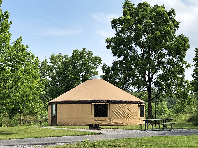 Not just camping&mdash;glamping! This yurt brings circular logic to outdoor comfort. All the wilderness, half the roughing it.