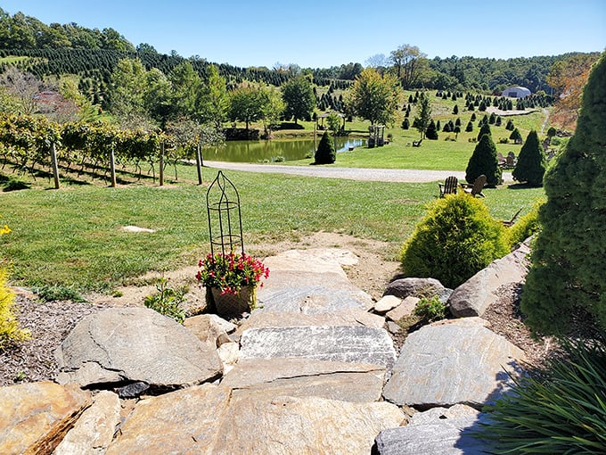 Stone steps lead to a serene pond view&mdash;nature's version of a meditation app, but with better scenery and actual fresh air.