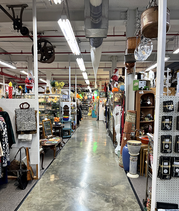 Long corridors lined with vendor booths create a museum-like experience where every turn reveals another decade's worth of American material culture.