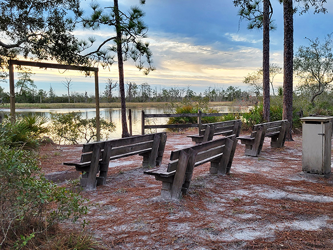 Nature's amphitheater: where the only admission price is your presence and the entertainment ranges from sunrise spectaculars to wildlife cameos.
