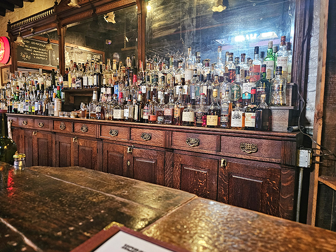 Not just a bar but a liquid library &ndash; bottles lined up like scholarly texts waiting to be studied. Homework has never been this enjoyable.