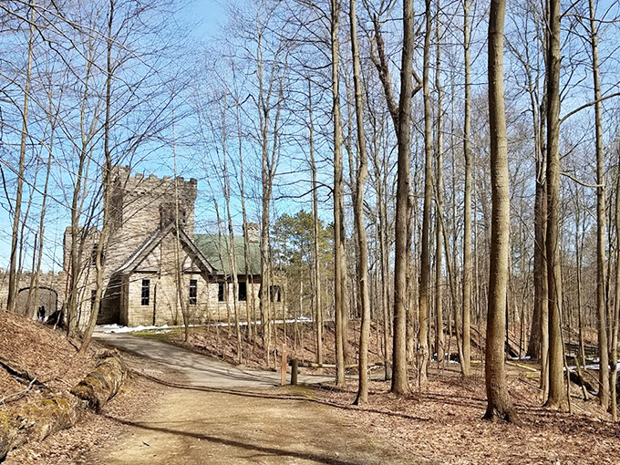 Winter reveals the castle's stark beauty among bare trees. Like seeing Winterfell without all the snow and impending doom.