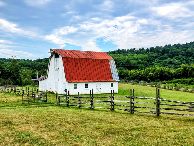 A barn with more character than most reality TV stars, and significantly better structural integrity too.