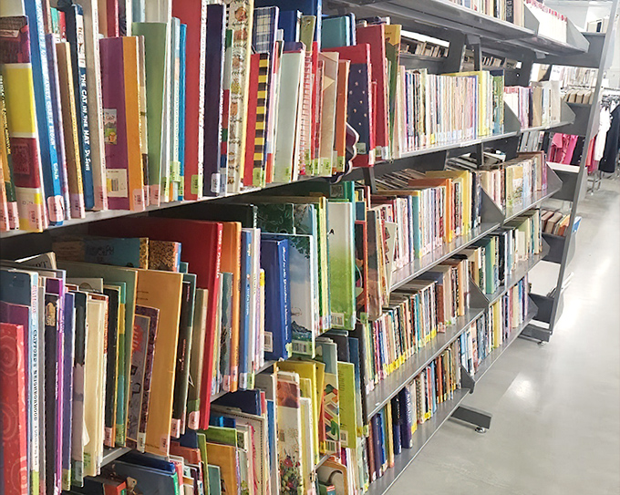 Literary treasures stacked spine-to-spine. Between these colorful covers lie adventures, knowledge, and occasionally someone else's forgotten bookmark—bonus souvenir!